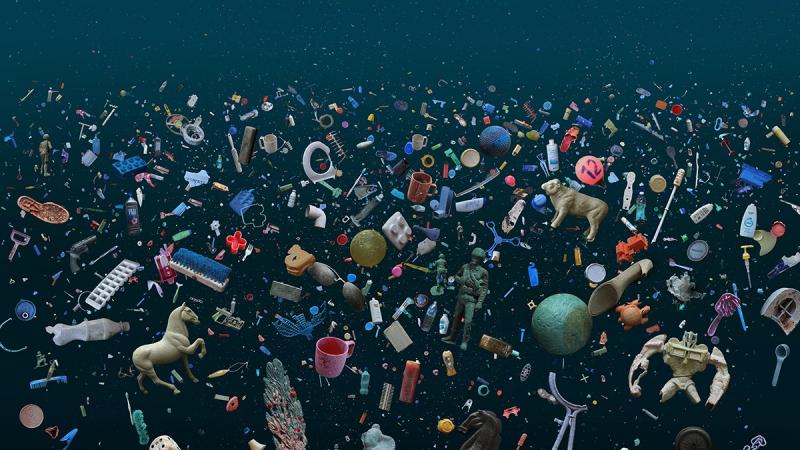 SHELF-LIFE: Mandy Barker photography exhibition in Queenstown | British ...